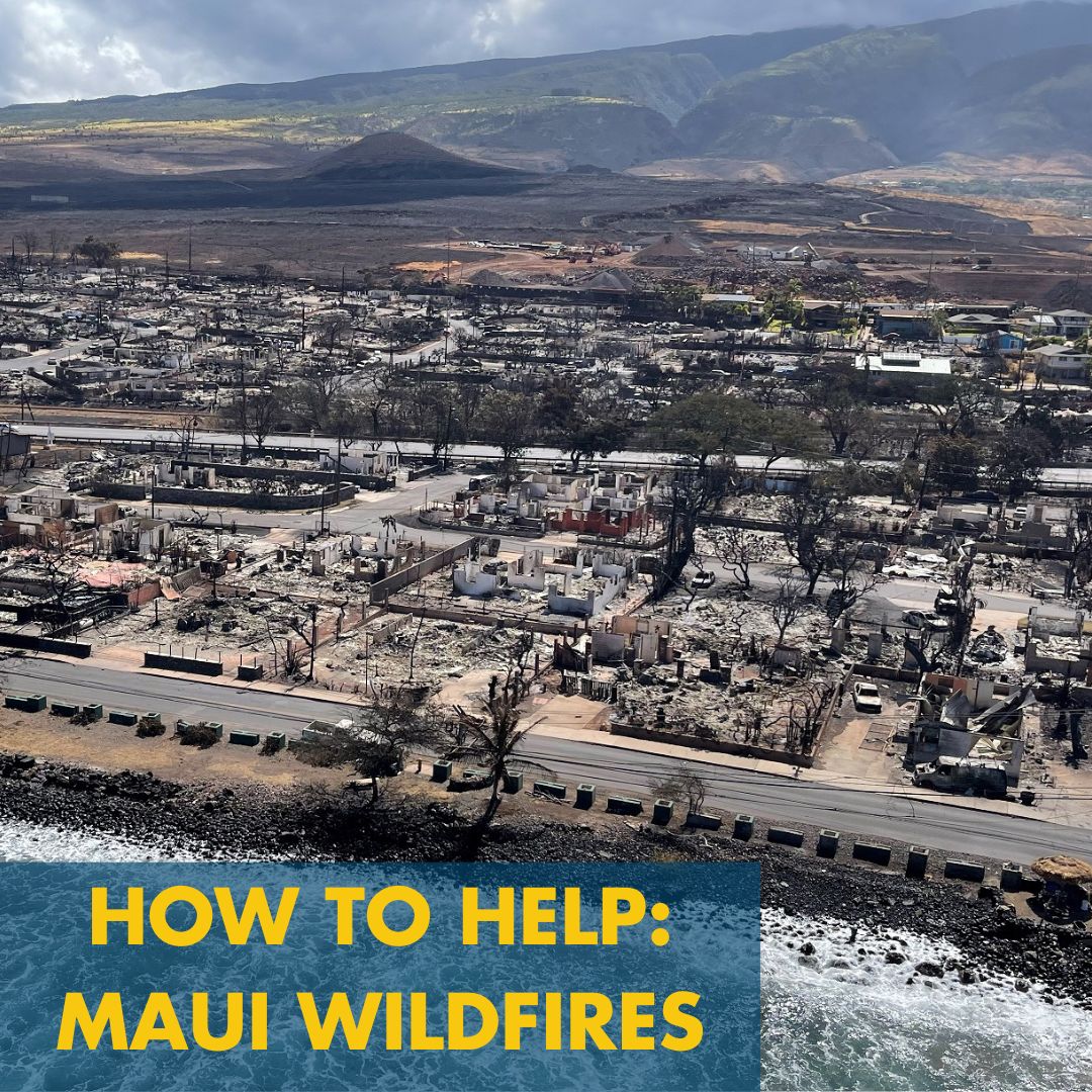 How to Help: Maui Wildfires | Jewish Foundation of Los Angeles